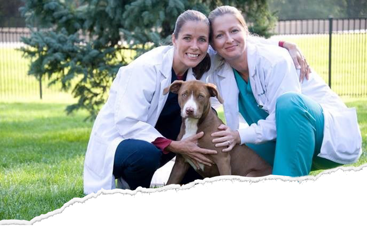 Veterinarian in Granger | Vet Near You | Morris Animal Hospital