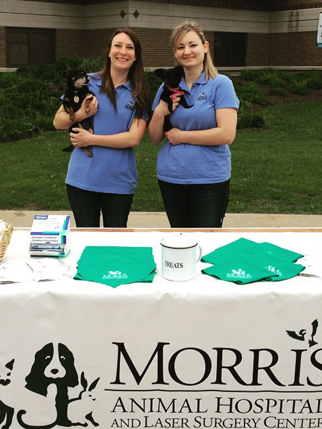 About Us - Vet in Granger | Morris Animal Hospital
