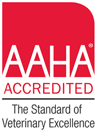 Contact - Vet in Granger | Morris Animal Hospital